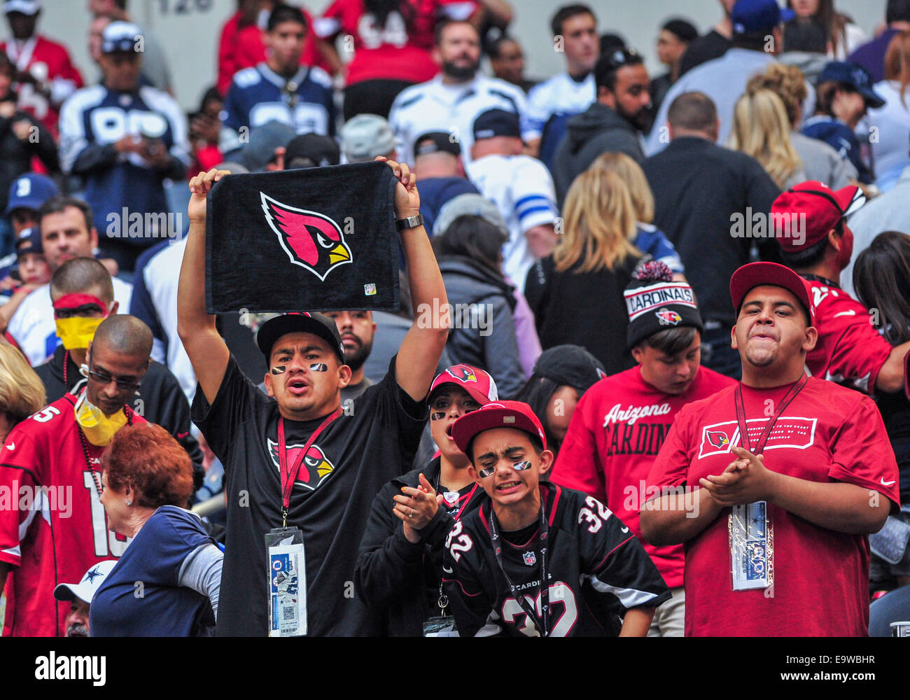 Arizona cardinals fans hi-res stock photography and images - Alamy
