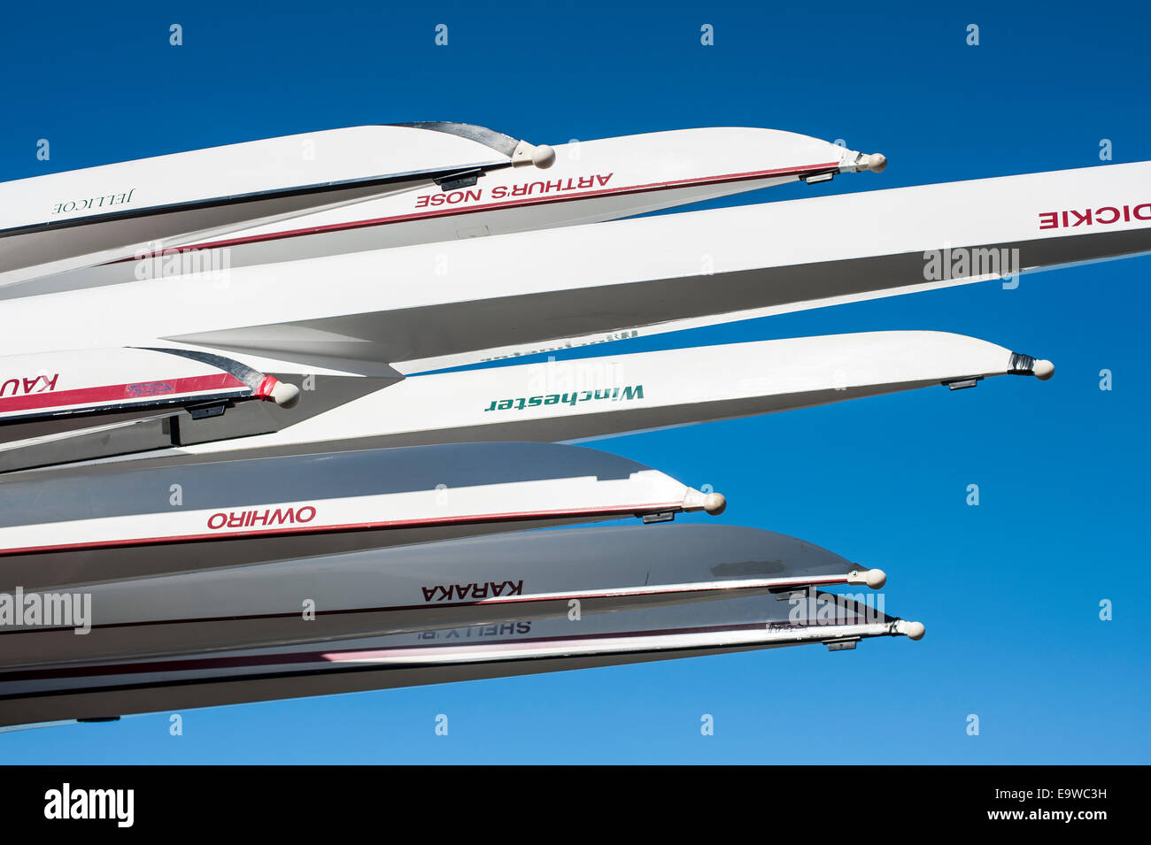 Racing shells, Auckland, New Zealand Stock Photo - Alamy