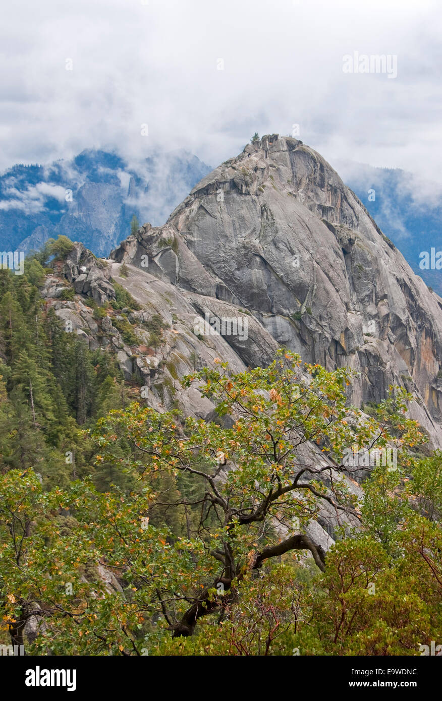 Sequoia National Park's Moro Rock granite dome formation Stock Photo ...