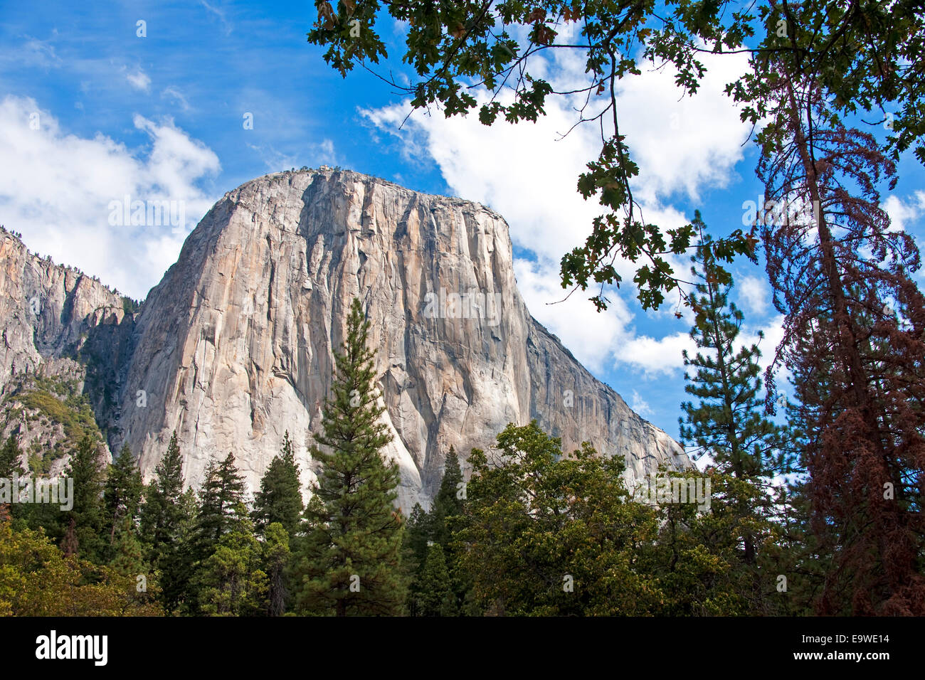 Yosemite National Park's El Capitan granite monolith Stock Photo - Alamy