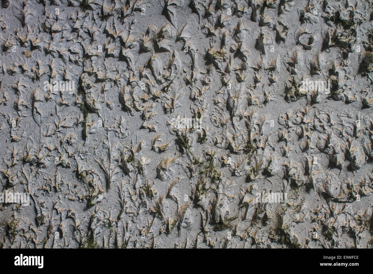Rough wall house hi-res stock photography and images - Alamy