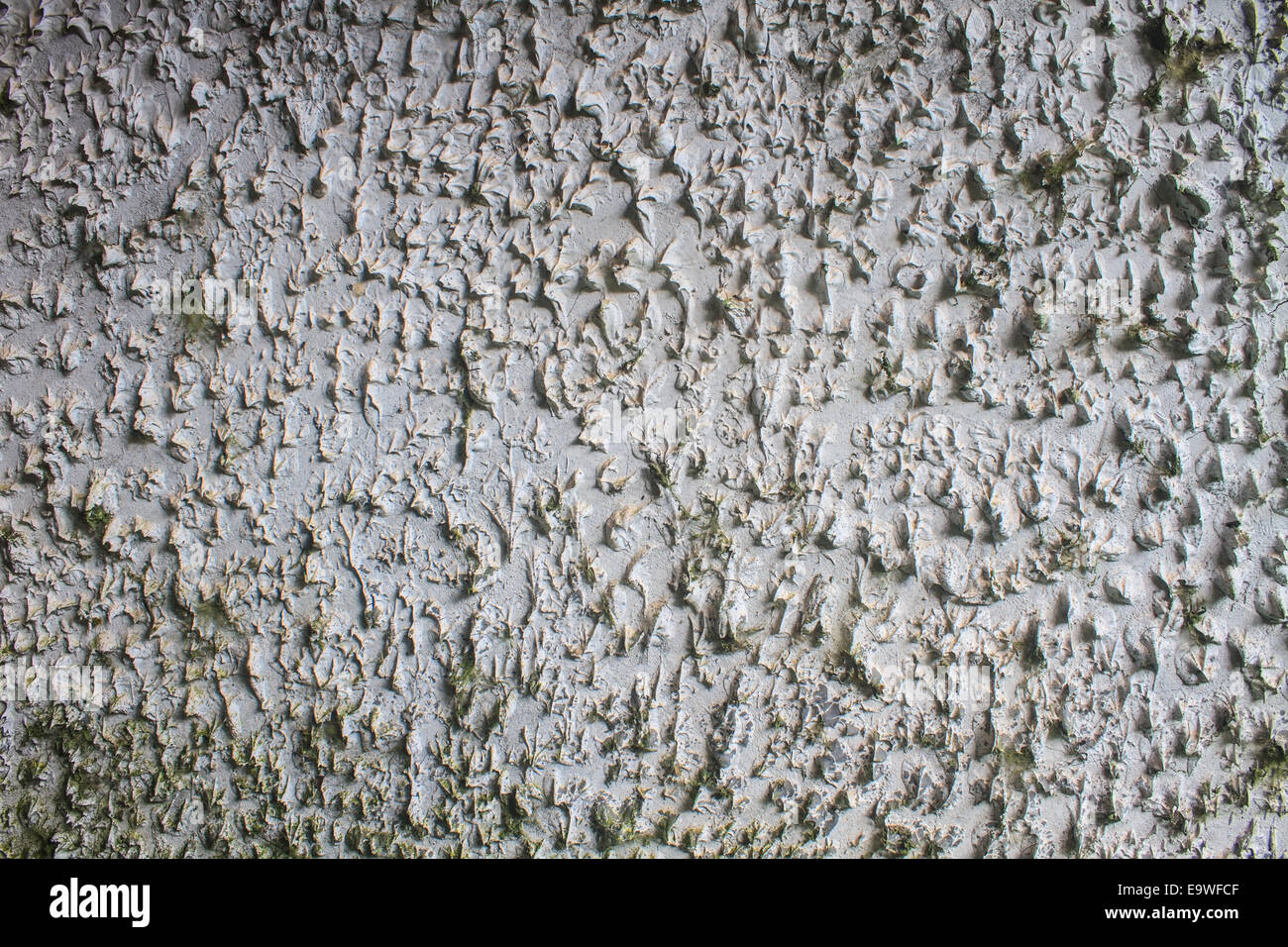 Grunge rough wall of the old house. Textured background Stock Photo - Alamy