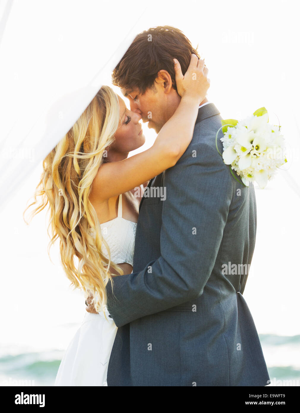 Wedding, Beautiful Romantic Bride and Groom Kissing and Embracing at ...