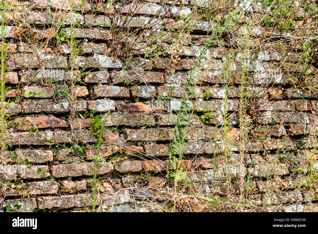 The medieval brick walls of the small village of Dozza near Bologna in ...