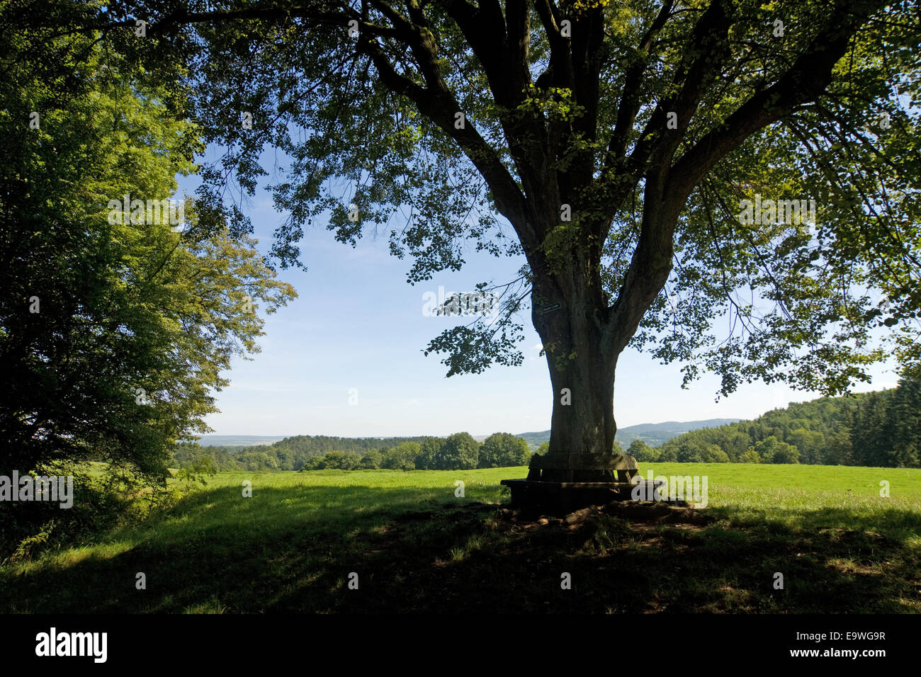 View of the Thuringian Forest Stock Photo - Alamy