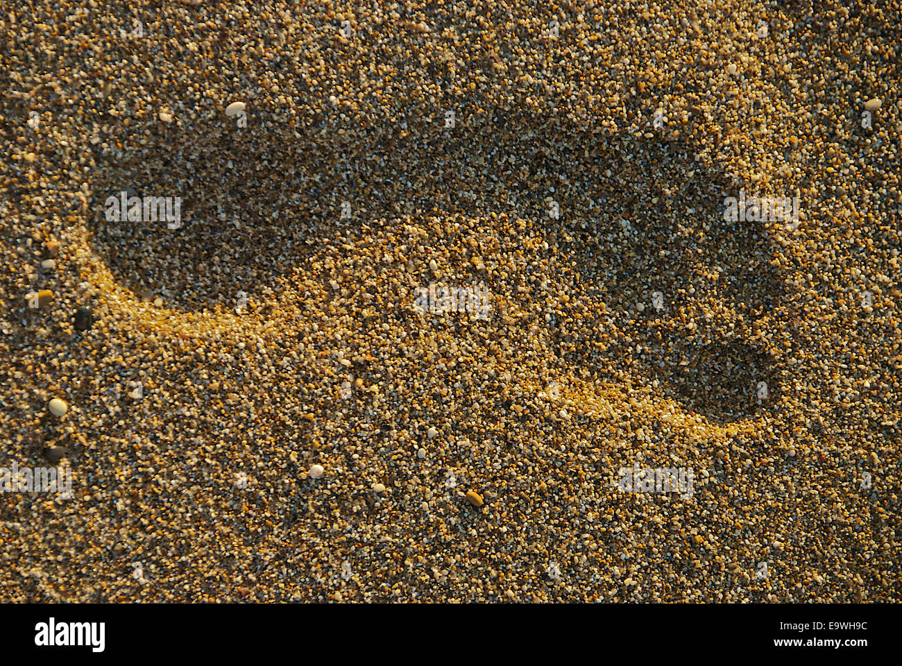 Body part foot hi-res stock photography and images - Alamy