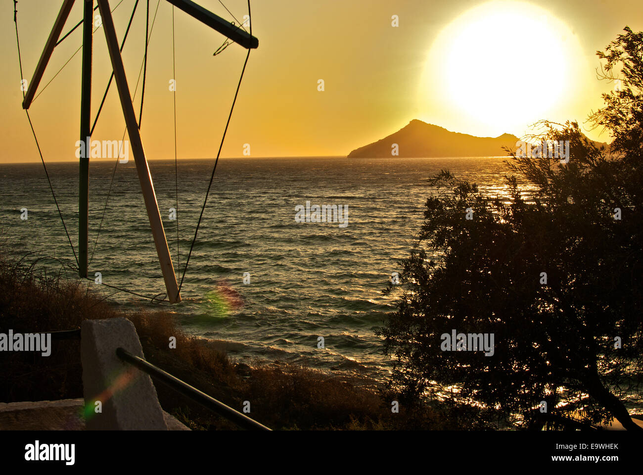 Olive tree at the sea at sunset hi-res stock photography and images - Alamy