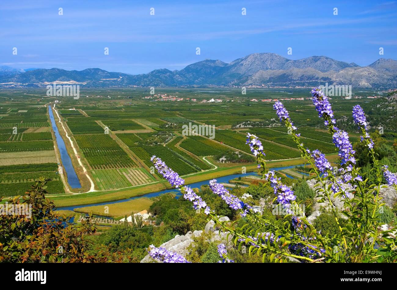 Neretva Delta 35 Stock Photo - Alamy