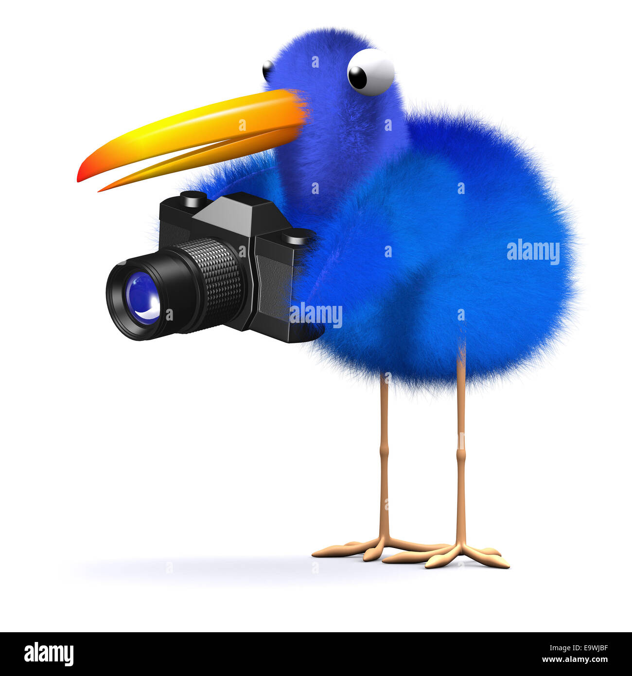 3d render of a bluebird holding a camera Stock Photo - Alamy
