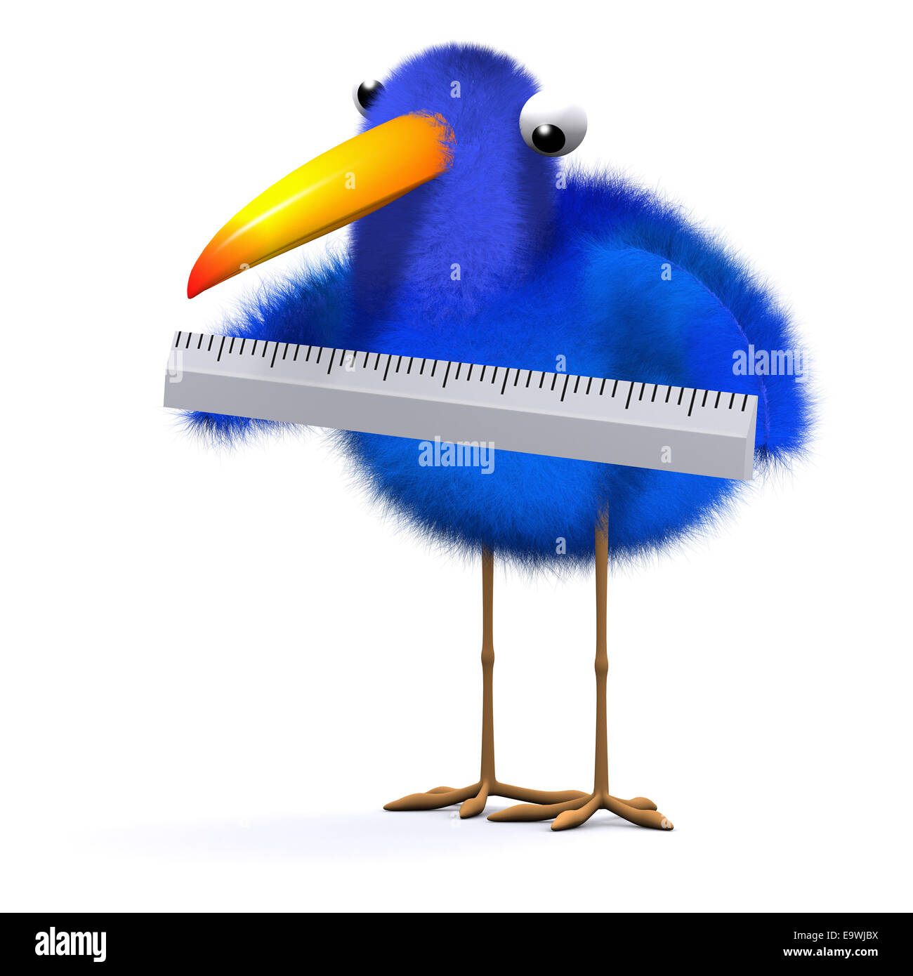 3d render of a blue bird holding a ruler Stock Photo - Alamy