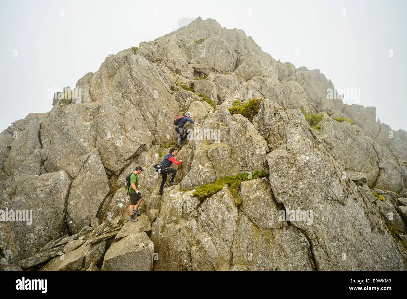 Scramblers on the North Ridge of Tryfan Snowdonia Wales Stock Photo - Alamy