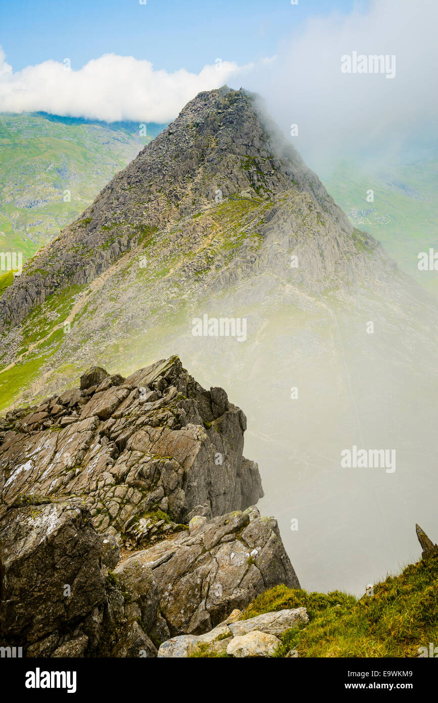 Bristly ridge hi-res stock photography and images - Alamy