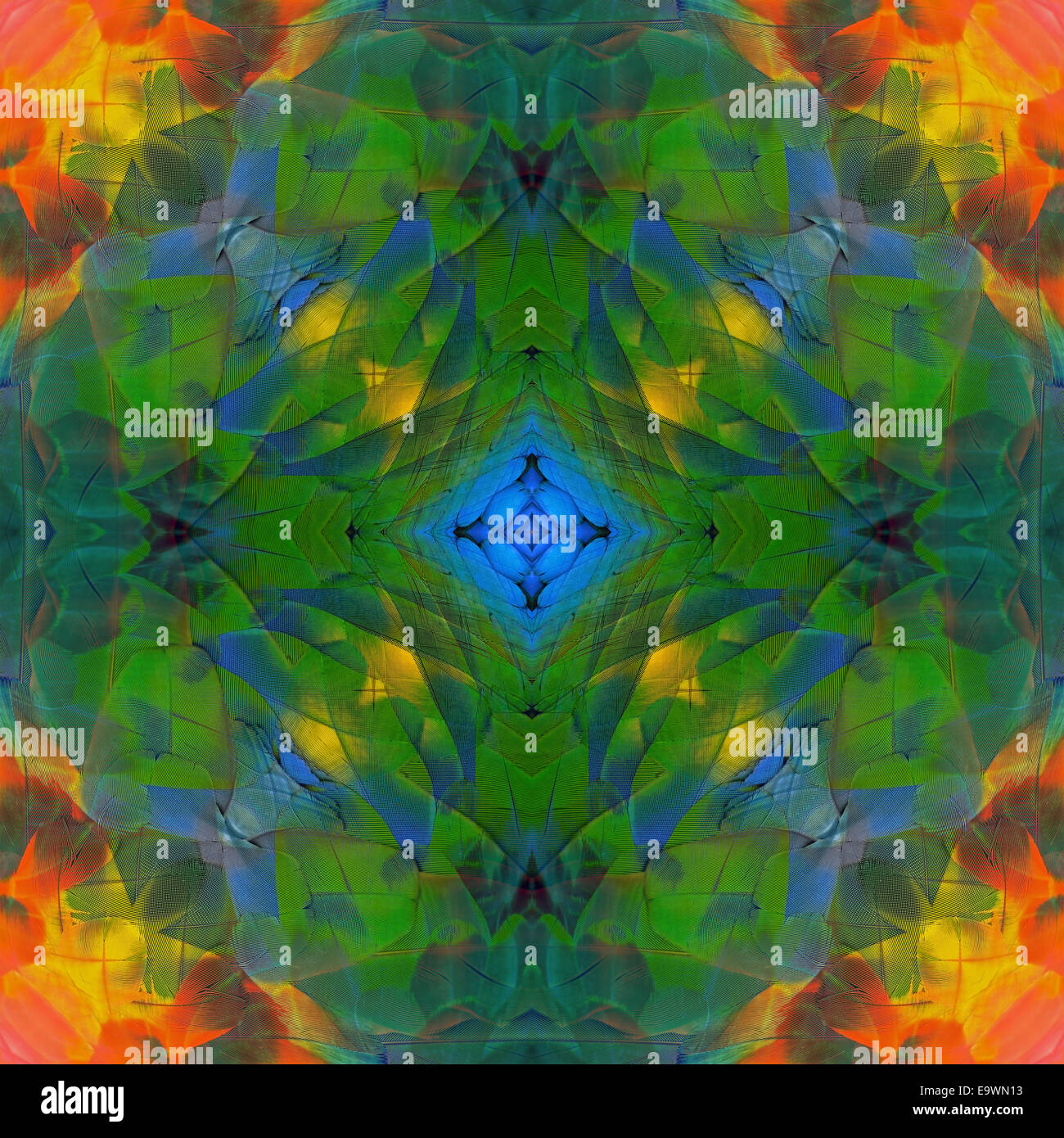 Seamless pattern made from Scarlet Macaw feathers background Stock ...