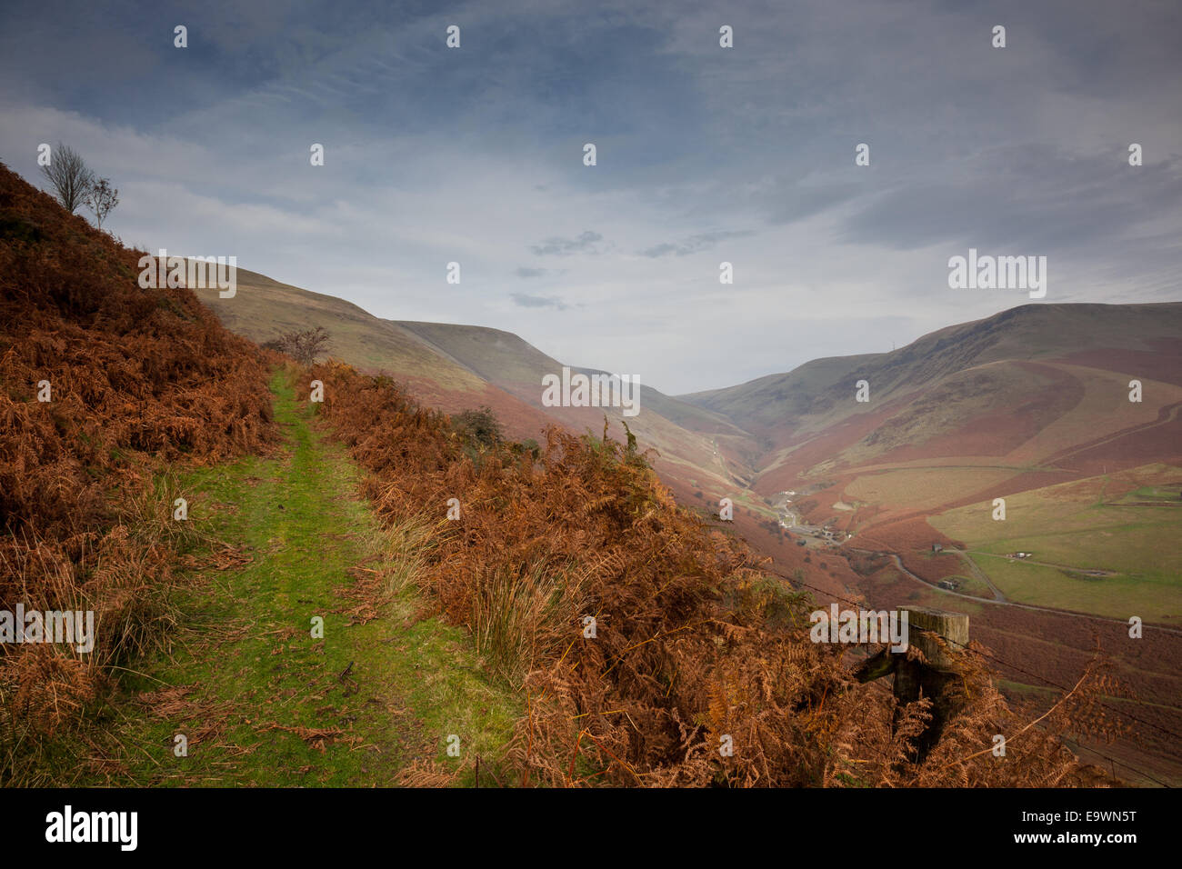 From the fron hi-res stock photography and images - Alamy