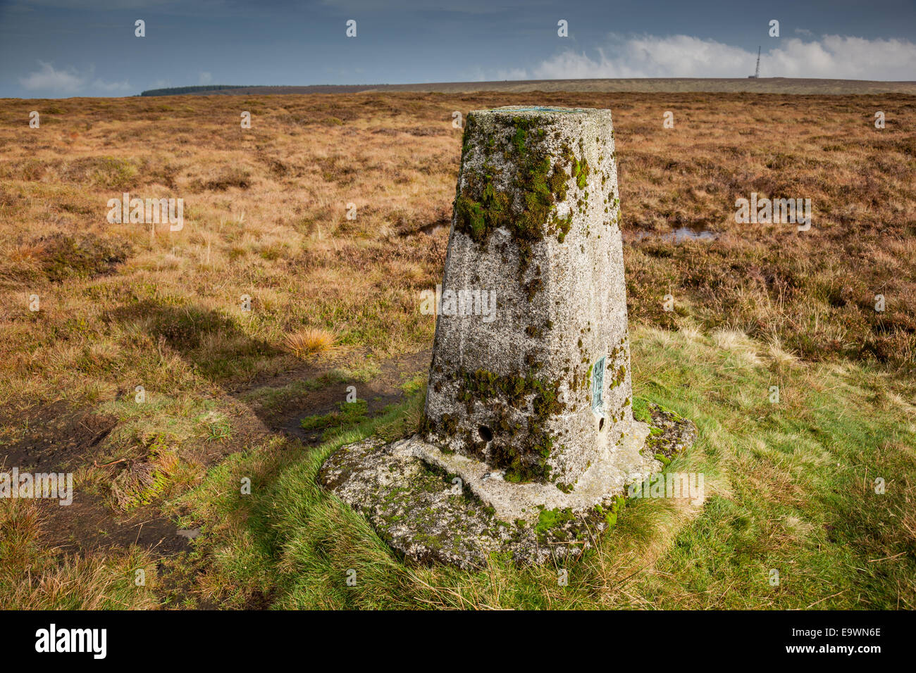 Trig point on the summit of Great Rhos, near New Radnor, Powys, Wales ...