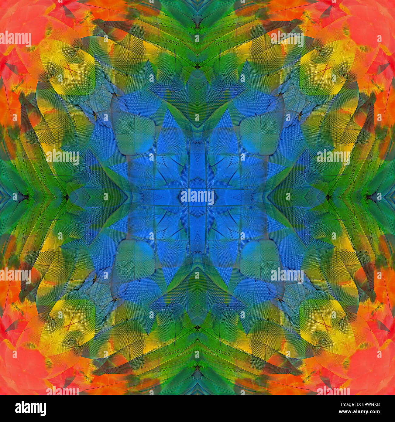 Seamless pattern made from Scarlet Macaw feathers background Stock ...