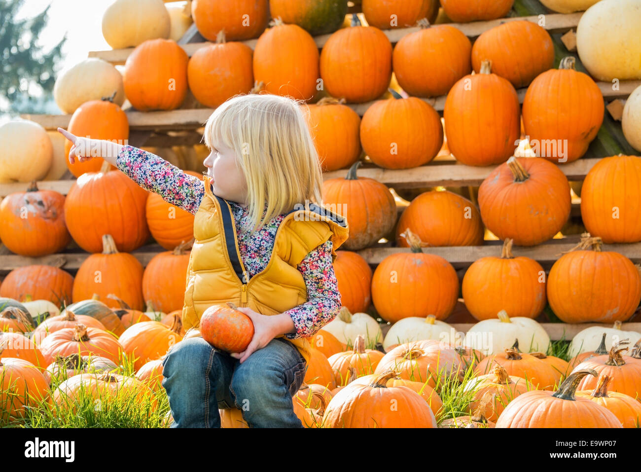 Kid sit on pumpkin hi-res stock photography and images - Alamy