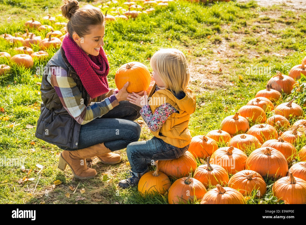 Mother and child choosing pumpkins Stock Photo - Alamy