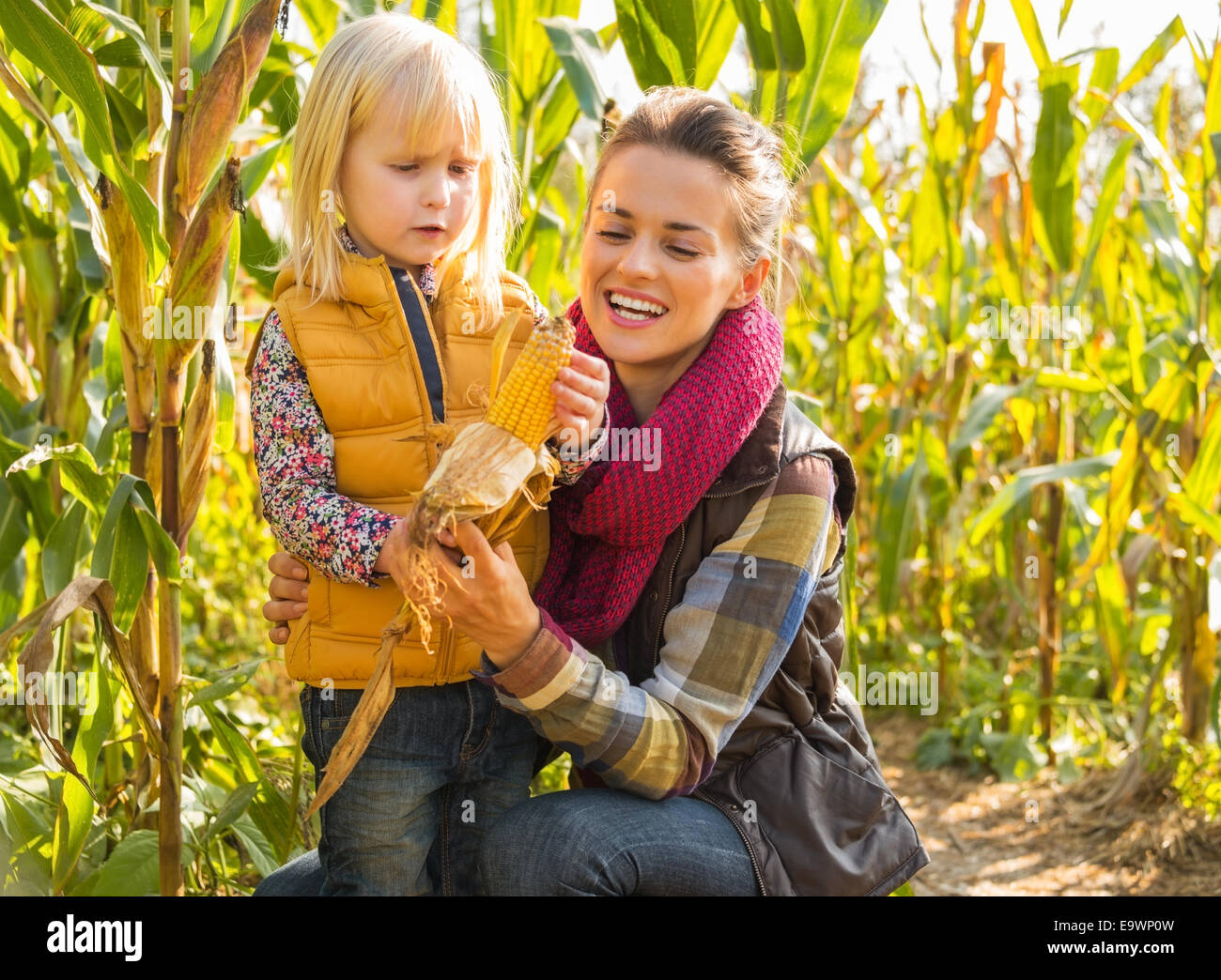 Portrait of mother and child shucking corn in cornfield Stock Photo - Alamy