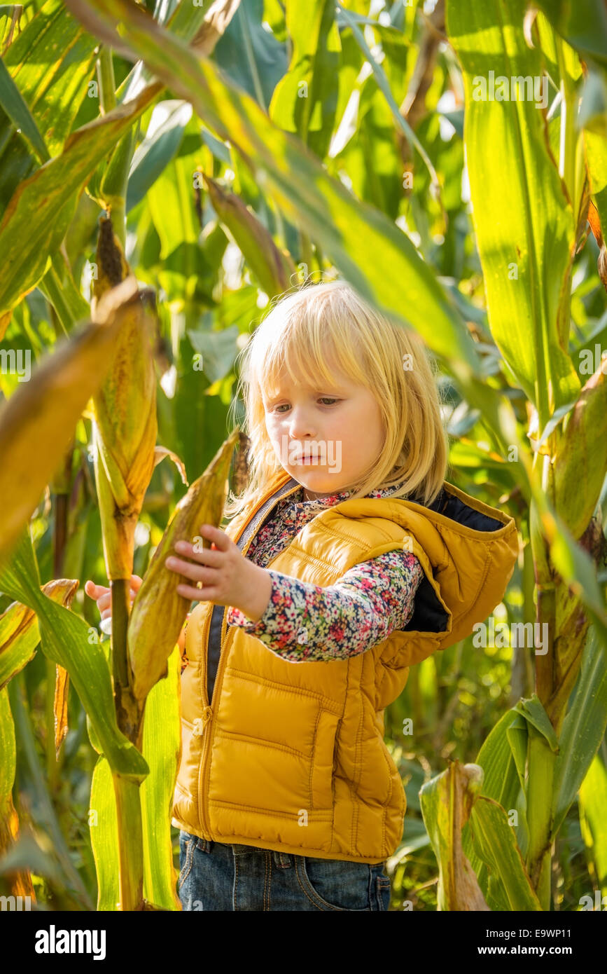 Child exploring nature curious hi-res stock photography and images - Alamy