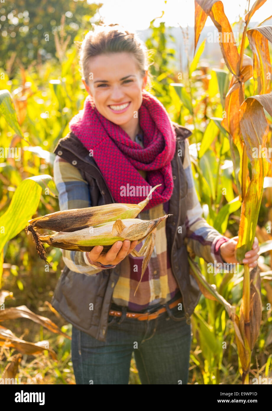 Closeup on smiling young woman giving corns while in cornfield Stock ...