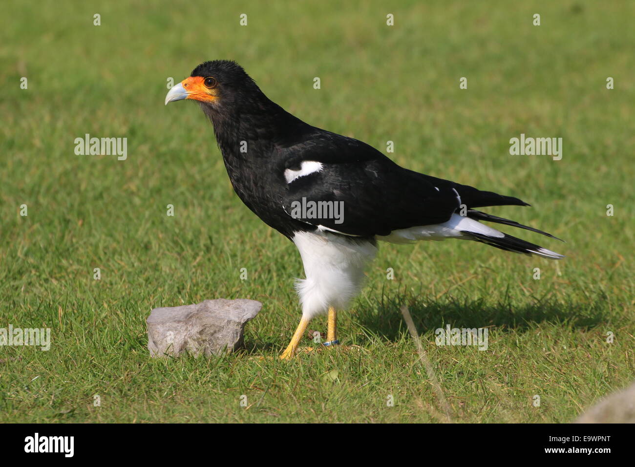 Turning stones hi-res stock photography and images - Alamy