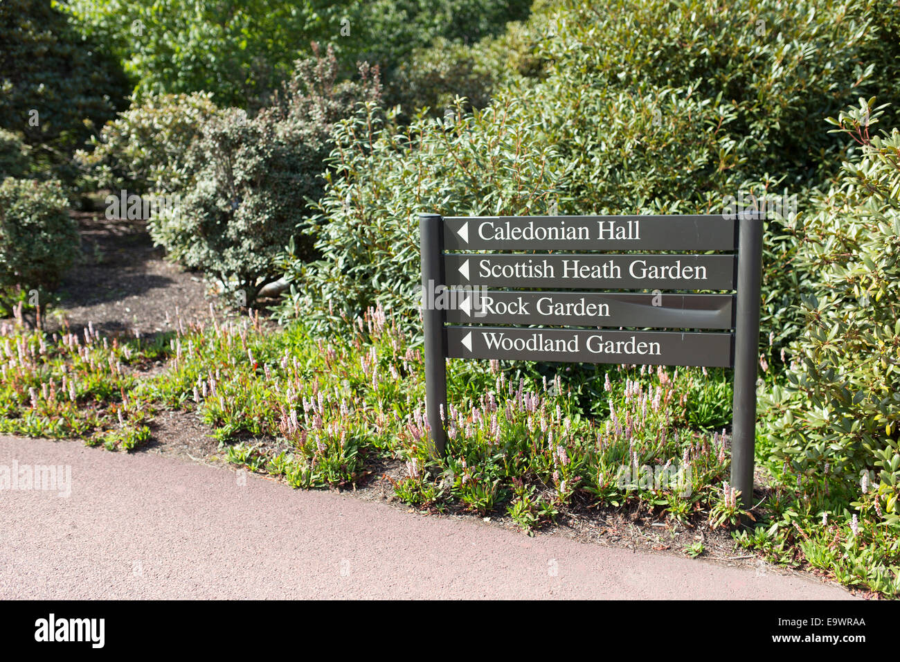 Signpost at Royal Botanic Garden, edinburgh Stock Photo - Alamy
