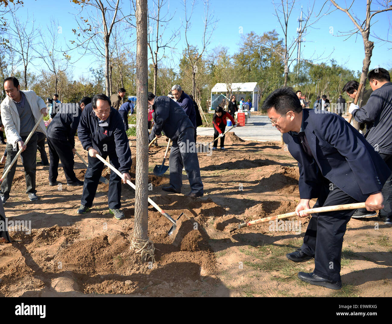Beijing, China. 3rd Nov, 2014. People plant trees during the launching ...