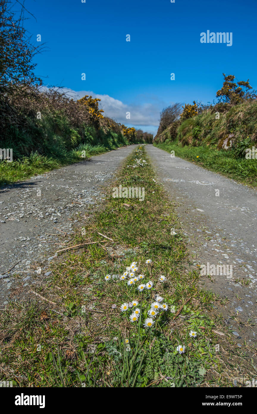 Empty rural road hi-res stock photography and images - Alamy