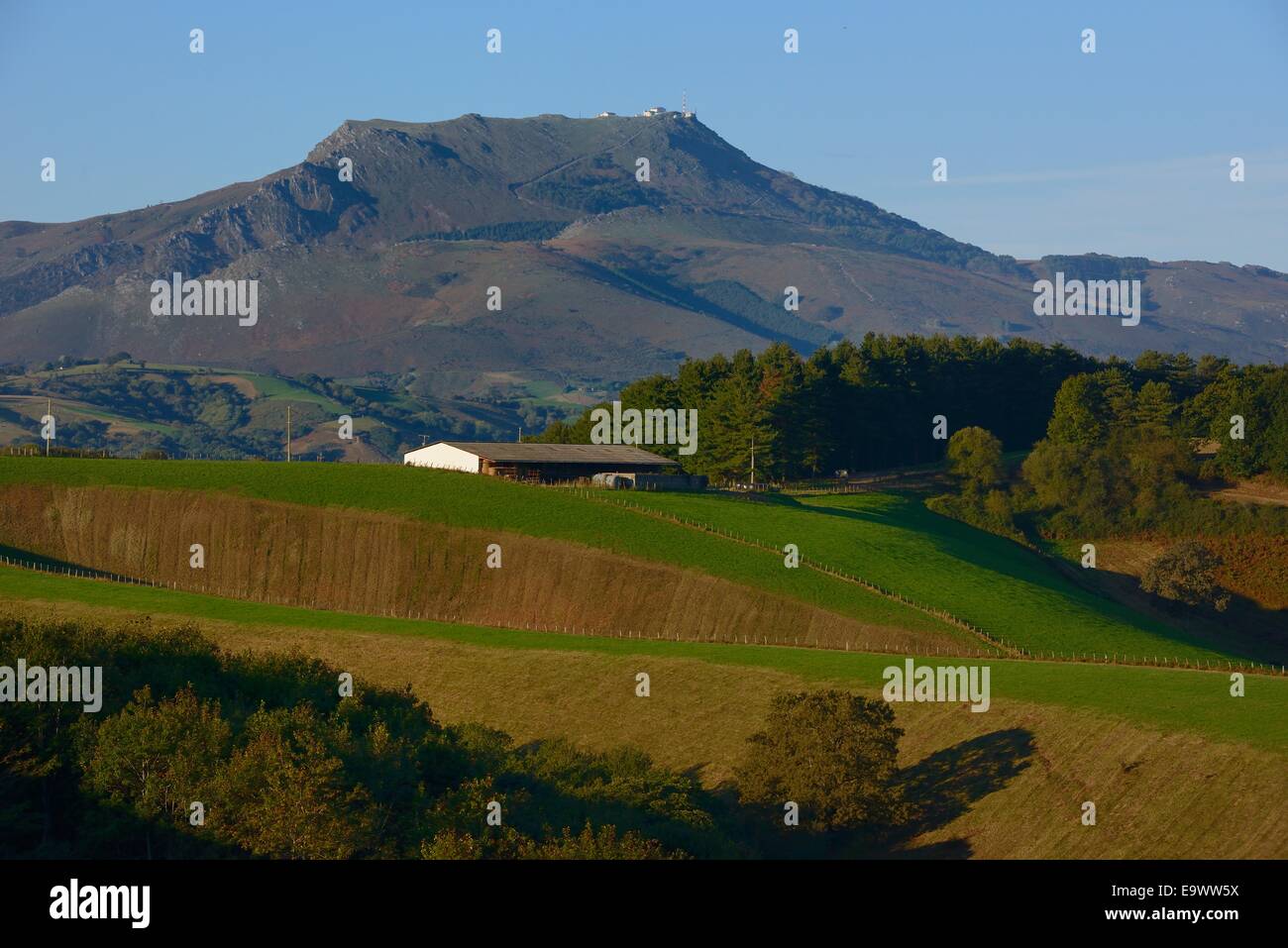 France, Pays Basque, Atlantic Pyrenees, Labourd, culture and meadows ...