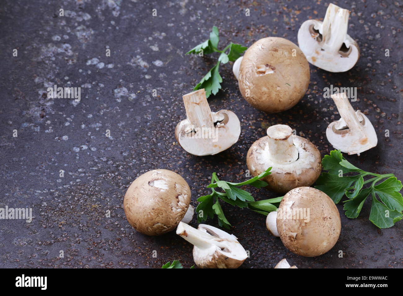 Mushrooms champignon hi-res stock photography and images - Alamy