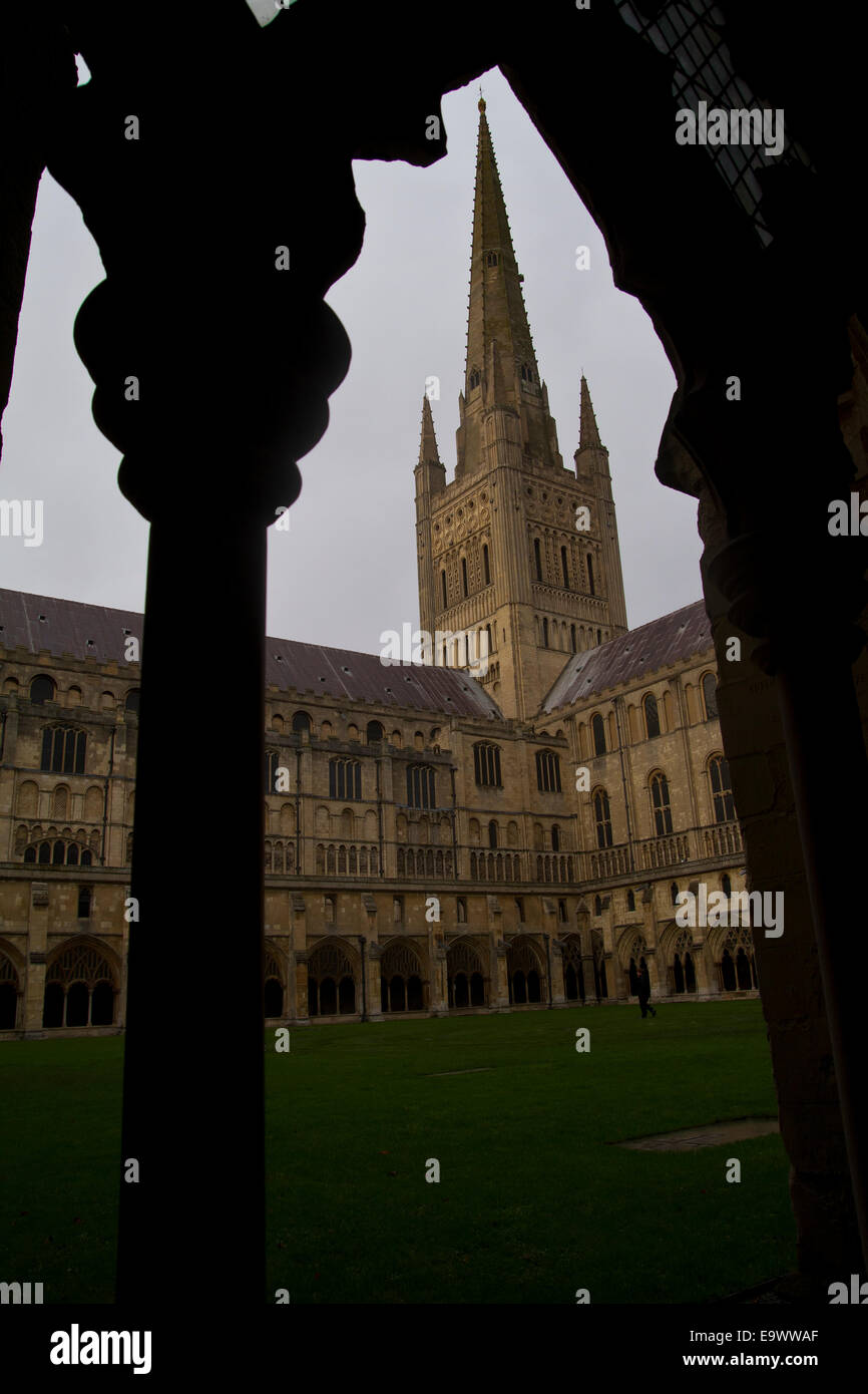 Norwich Cathedral on a winter's day Stock Photo - Alamy