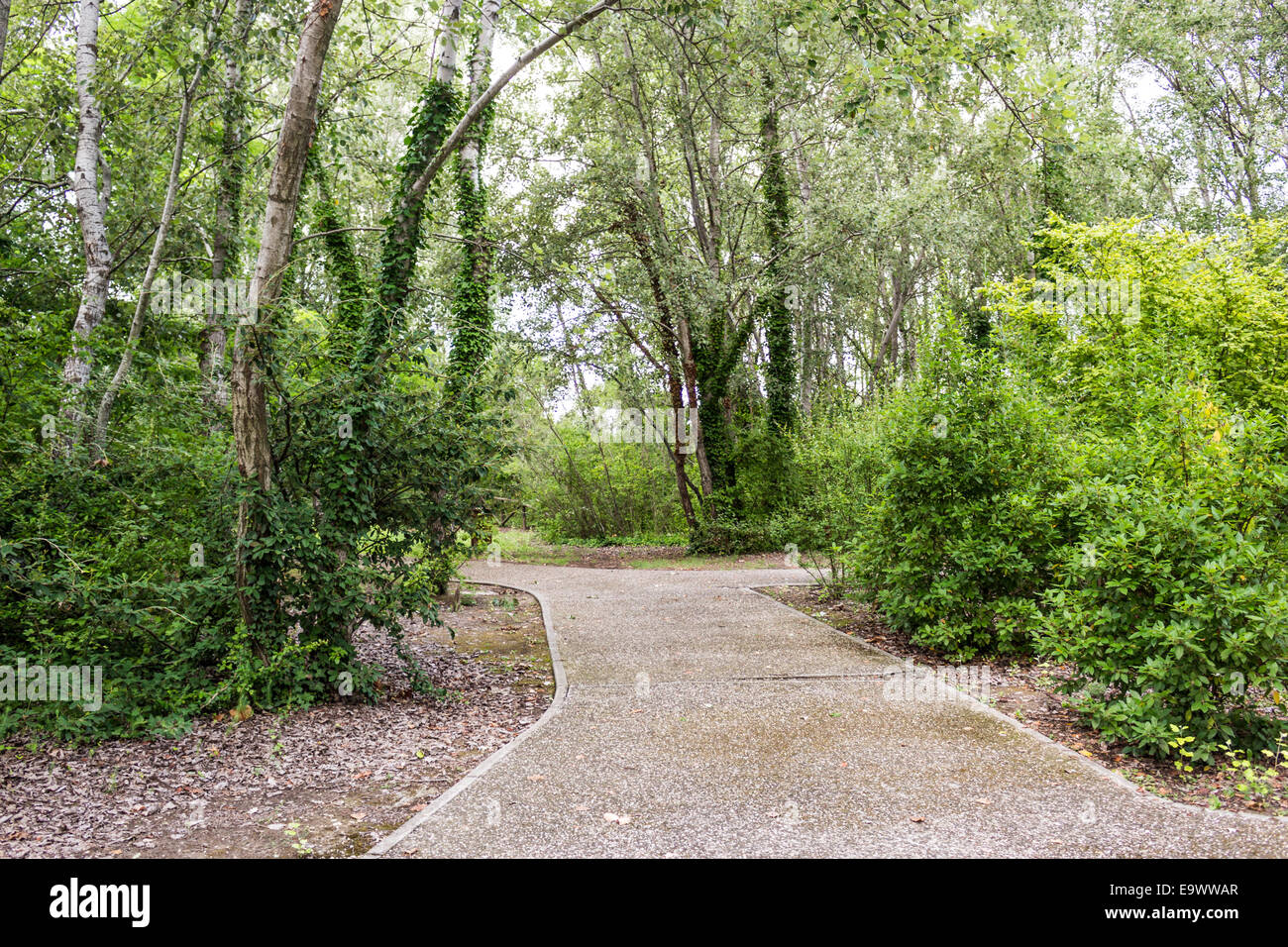 Walk path through green trees and bushes in the natural reserve "Parco ...