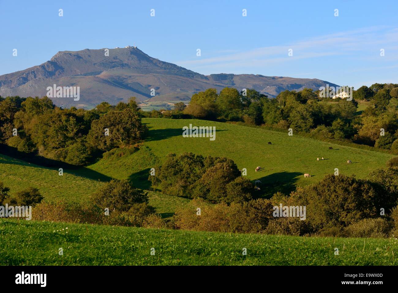 France, Pays Basque, Atlantic Pyrenees, Labourd, Rhune mountain in the ...