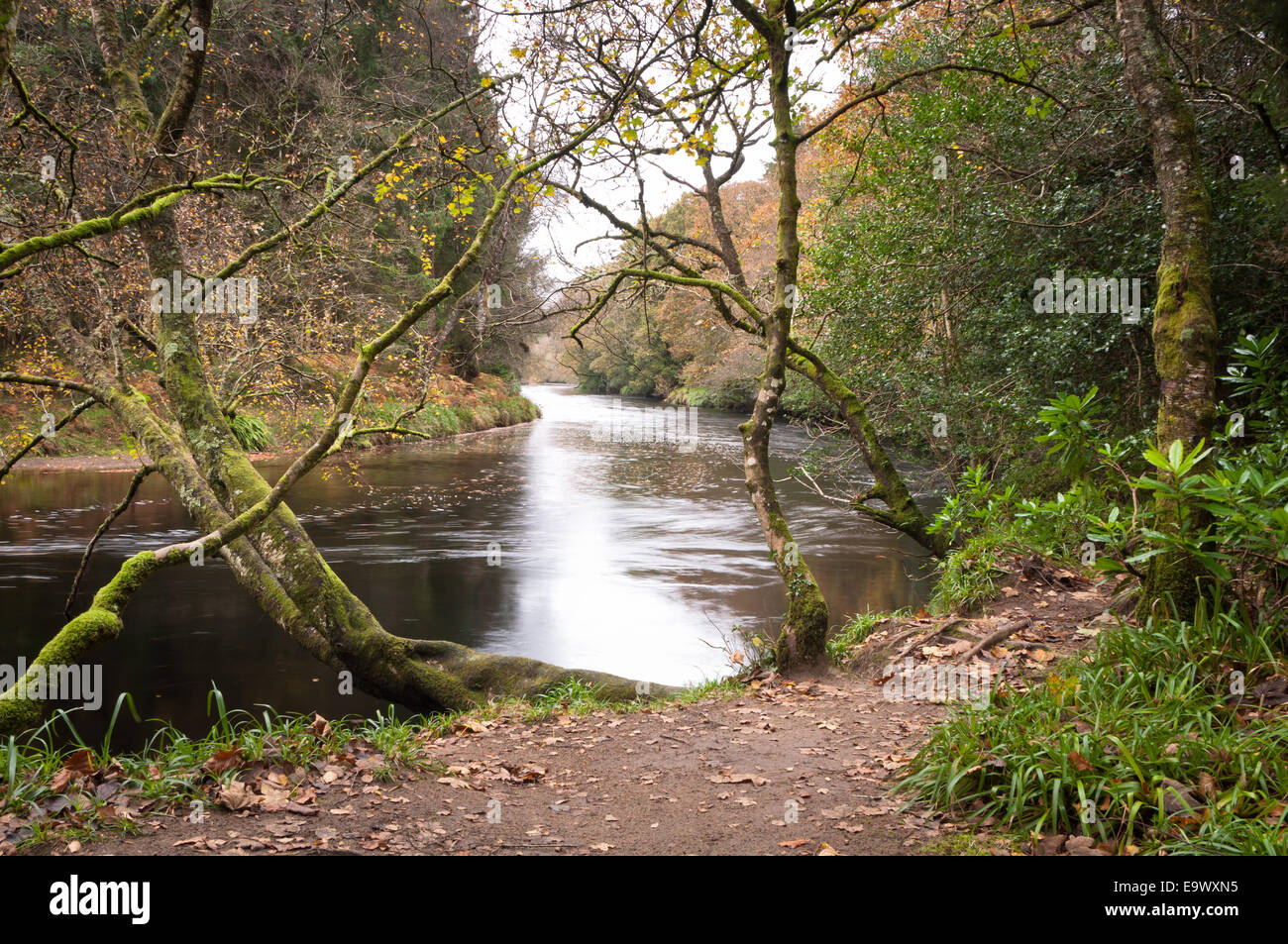 Woods and river hi-res stock photography and images - Alamy