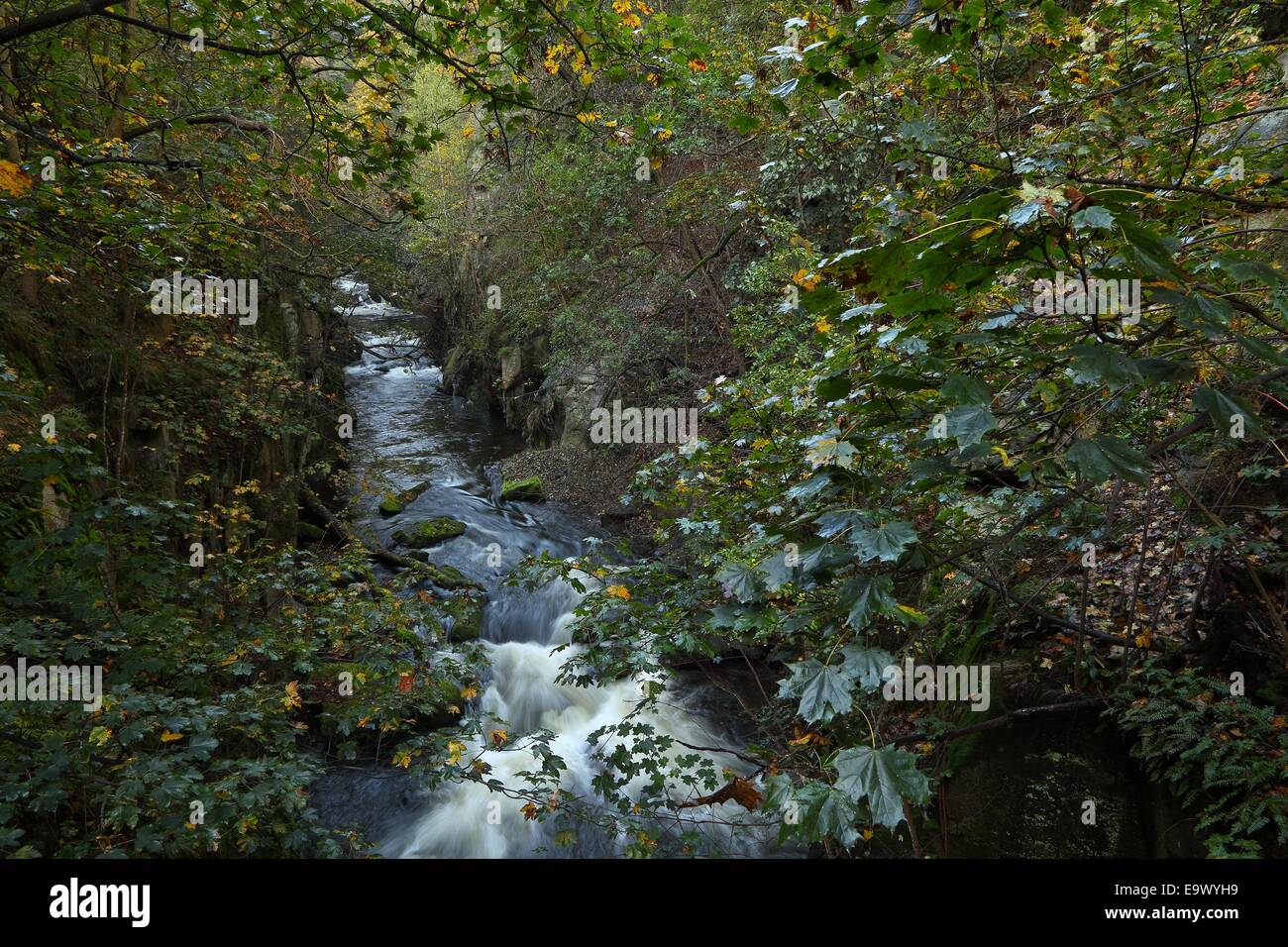 Wild River In The Bode Valley In Germany Stock Photo - Alamy
