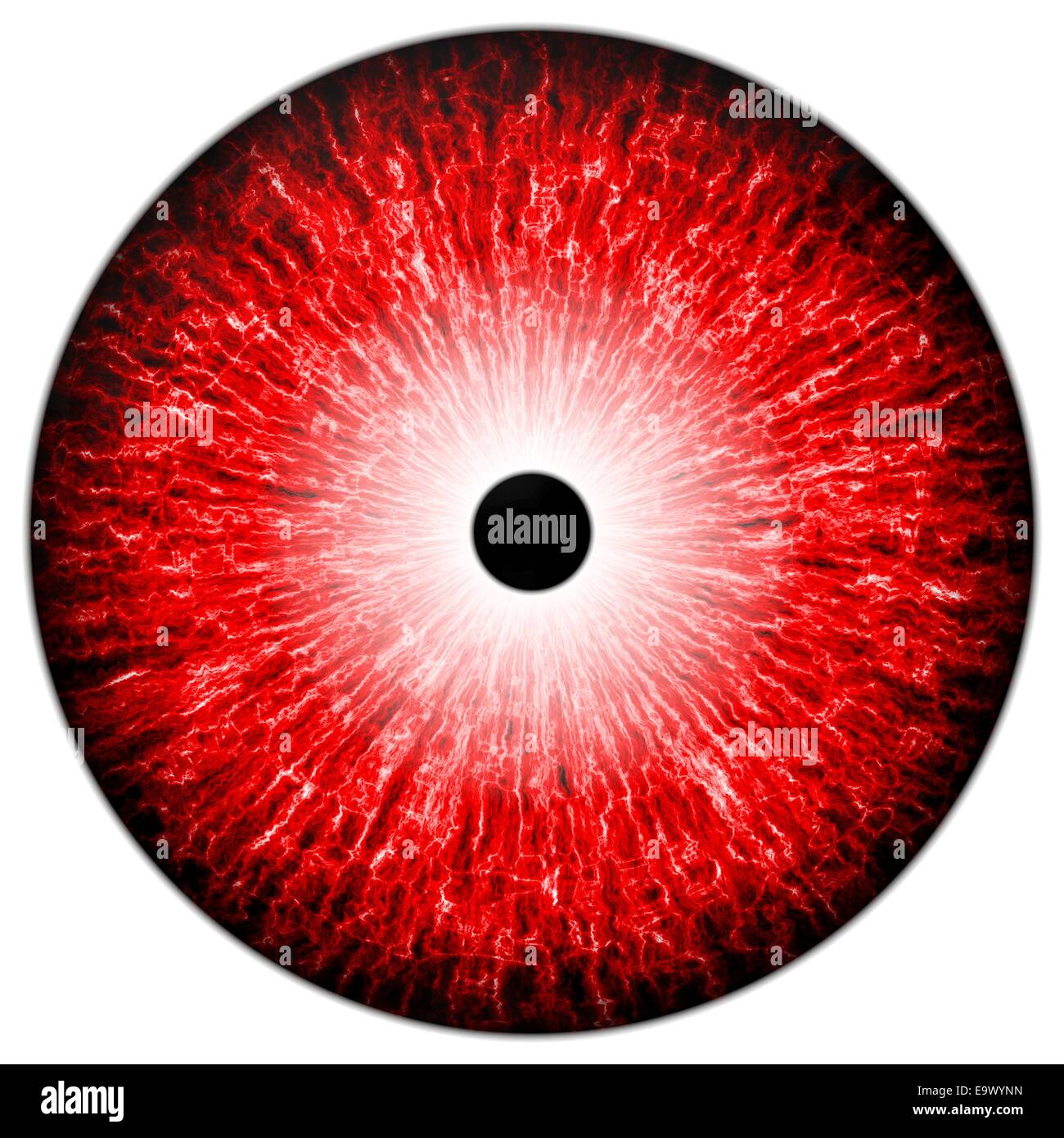 Illustration of a red eye with light reflection on a white background ...