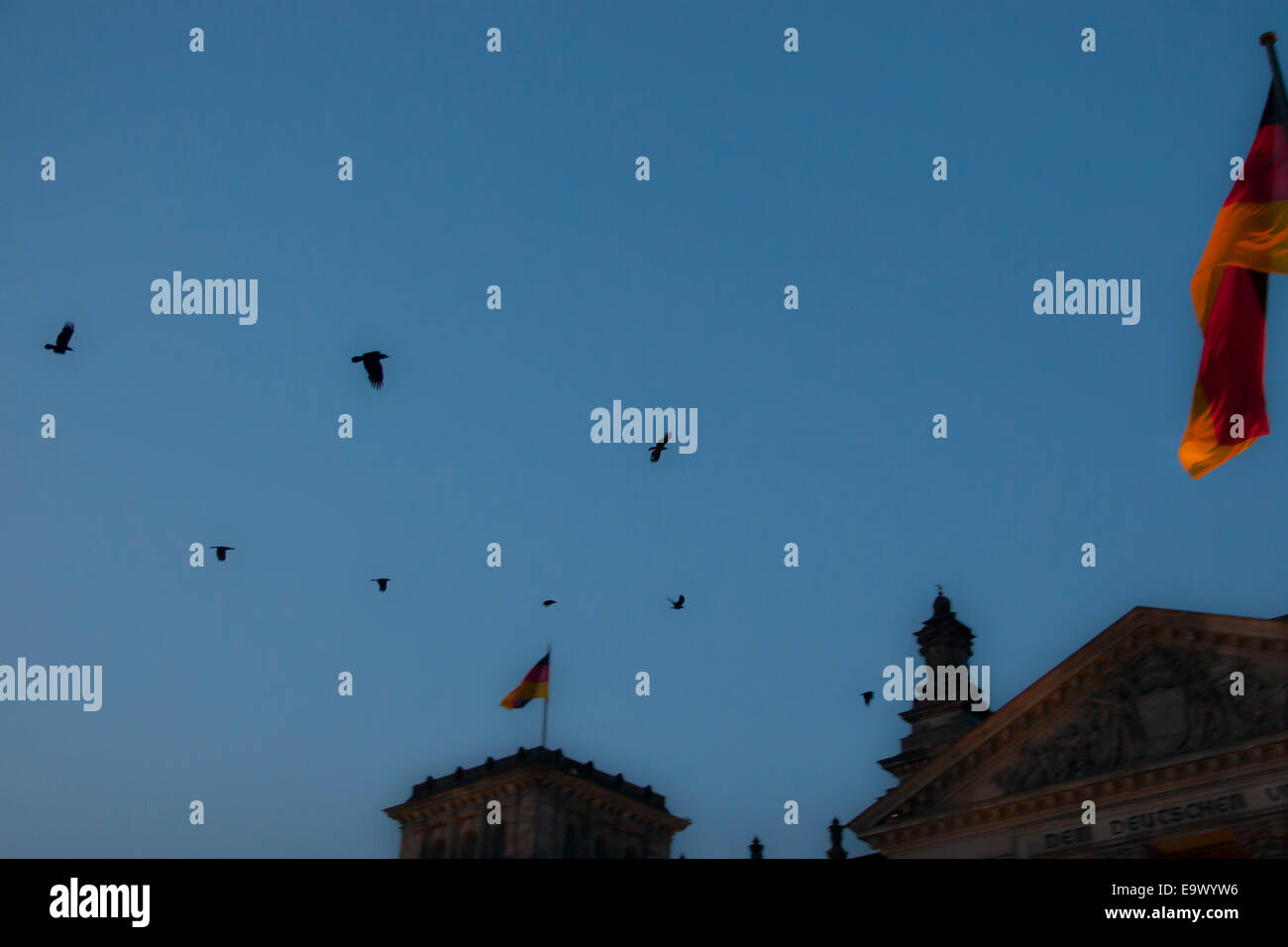 Birds German Flag Reichstag Berlin Germany Stock Photo - Alamy
