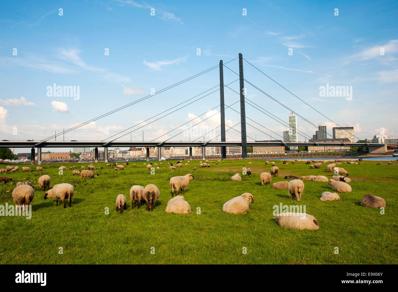 On left bank of the rhine hi-res stock photography and images - Alamy