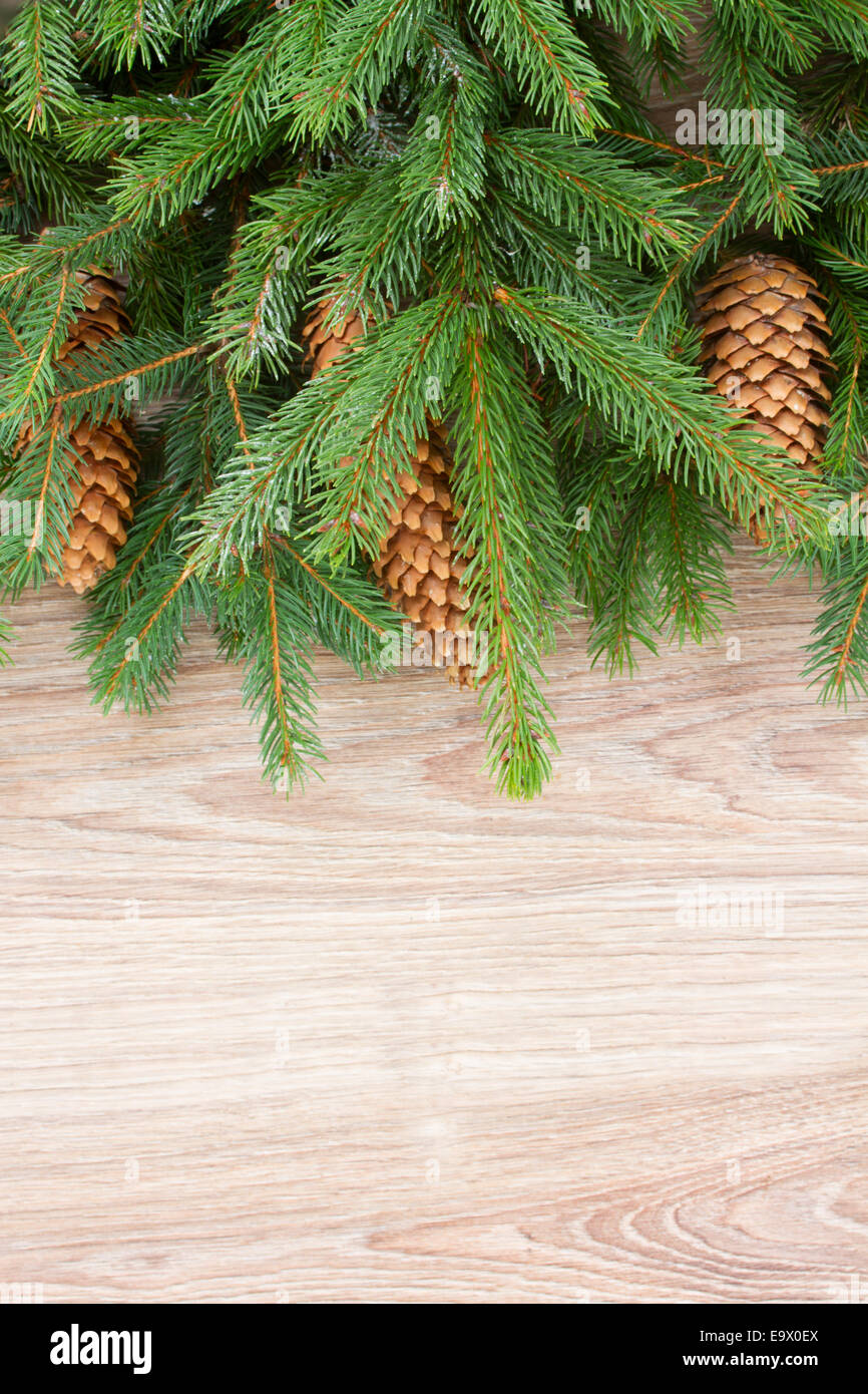 fir tree border Stock Photo - Alamy