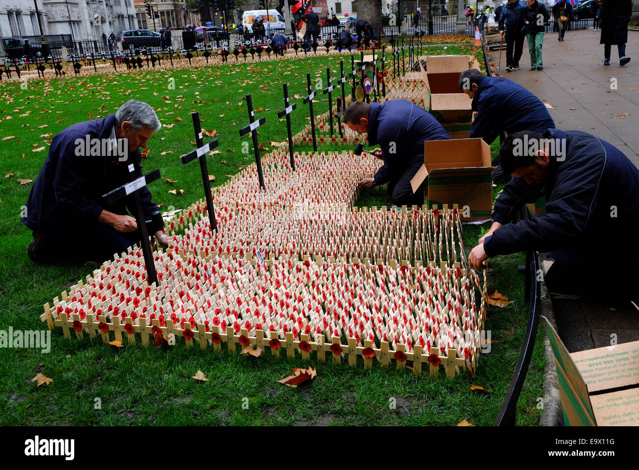 Poppys at westminster abbey hi-res stock photography and images - Alamy
