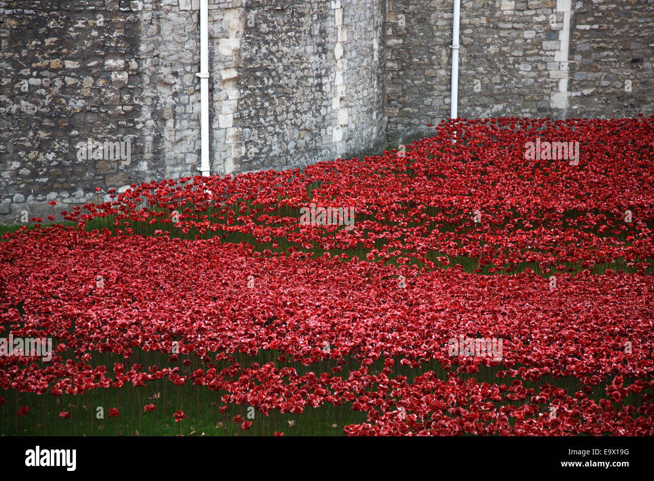 A sea of red poppies line the moat at The Tower of London Stock Photo ...