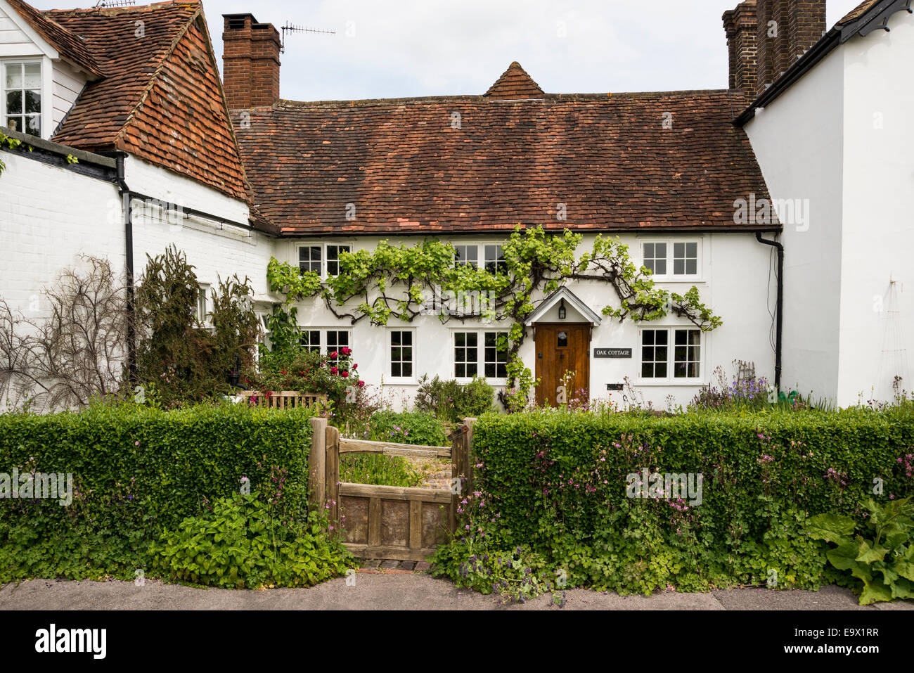 Cottages in the Village of Brockham in Surrey, UK Stock Photo - Alamy
