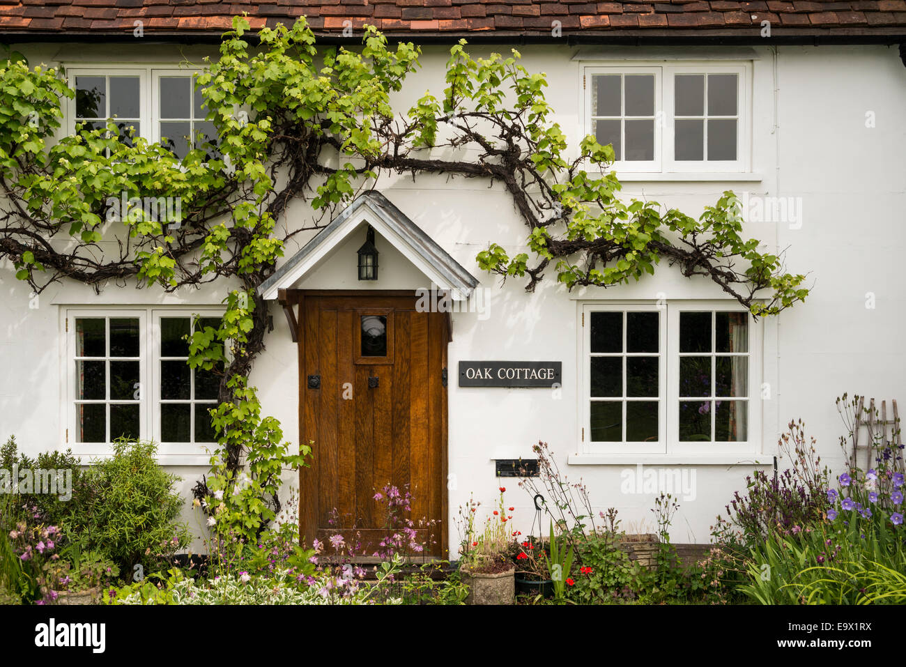 Cottages in the Village of Brockham in Surrey, UK Stock Photo - Alamy