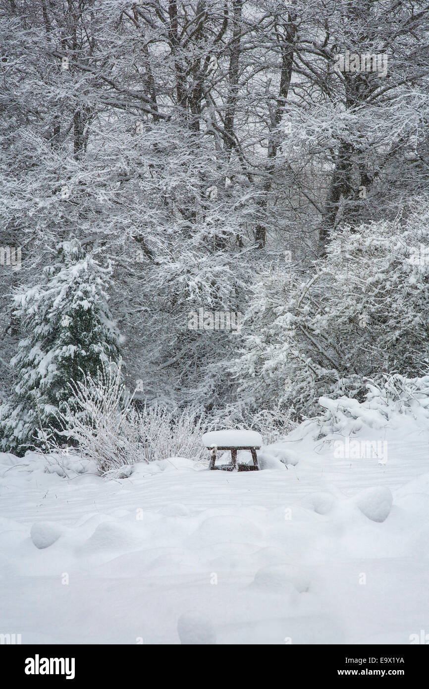 Picinc table hi-res stock photography and images - Alamy