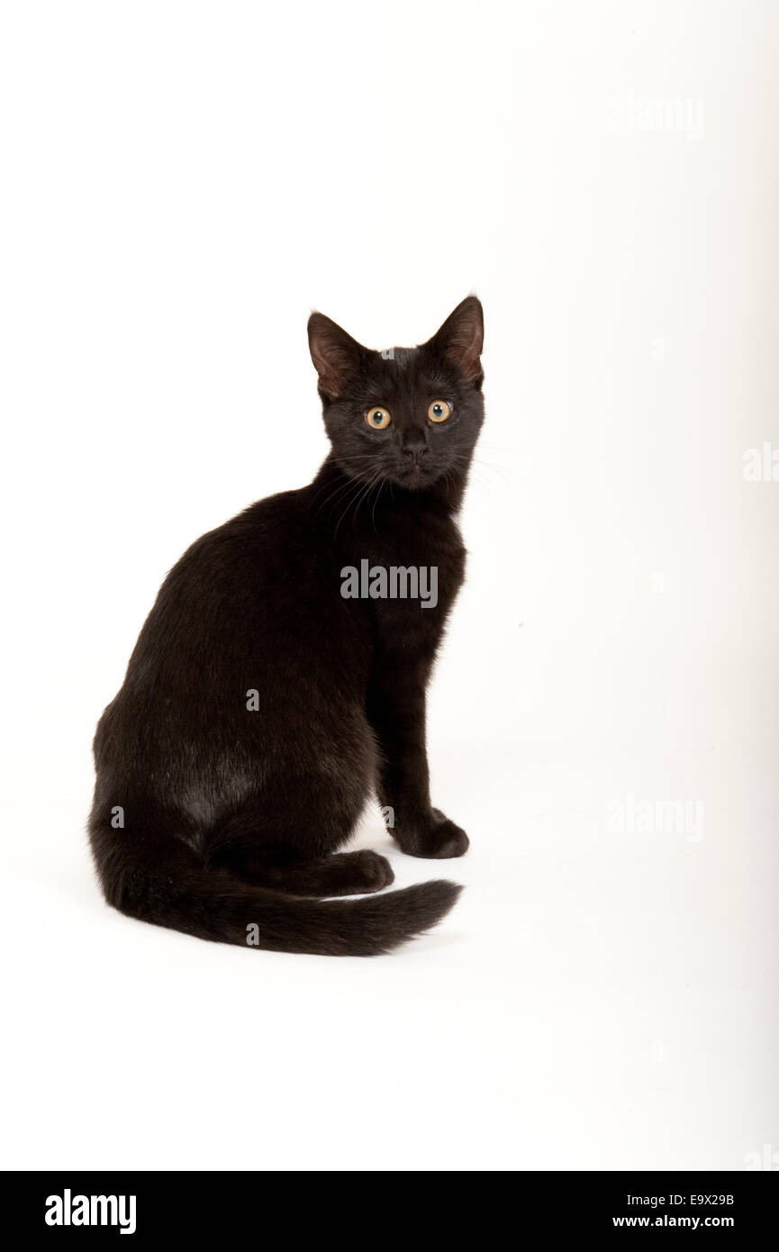 6 month old hi-res stock photography and images - Alamy