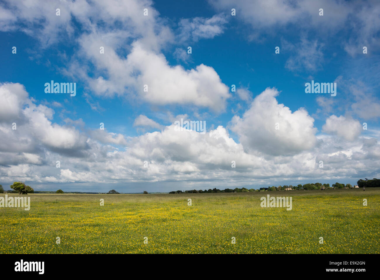 Beautiful day, Minchinhampton Common, Gloucestershire, UK Stock Photo ...