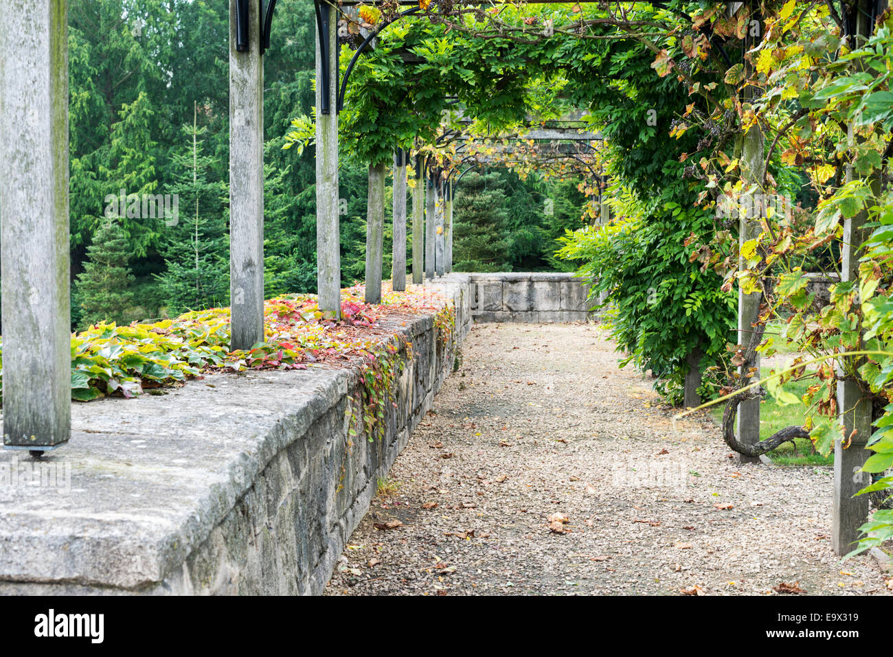 english garden in autumn with plants pergola and rock to sit Stock ...