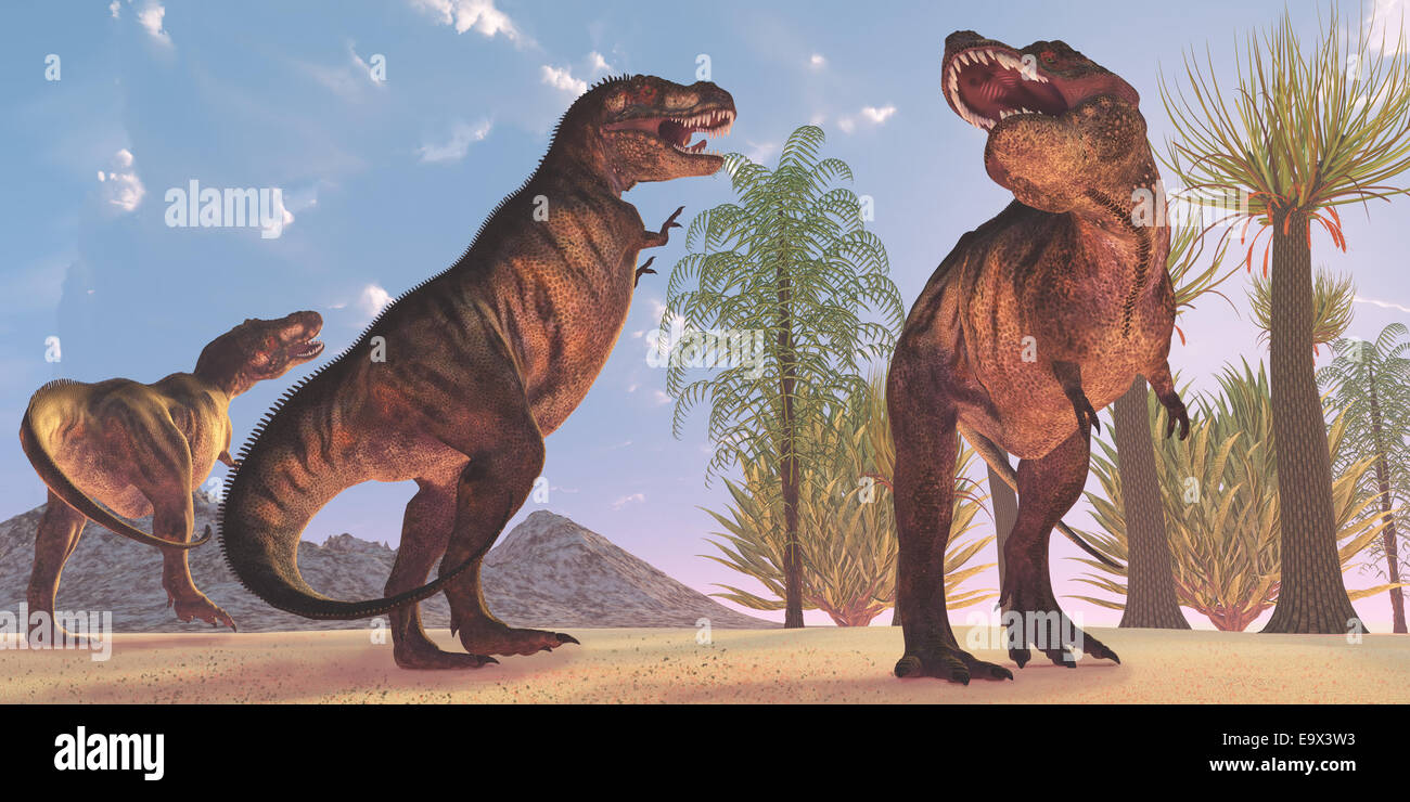Tyrannosaurus Rex dinosaurs have a growling session in the Cretaceous ...