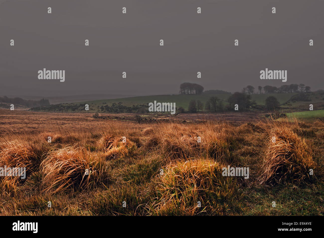 A typical autumn landscape scene on Dartmoors National Park, Dartmoor ...